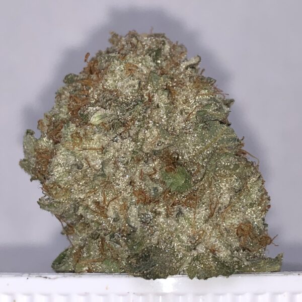 Indica – Exclusive Dank Collective