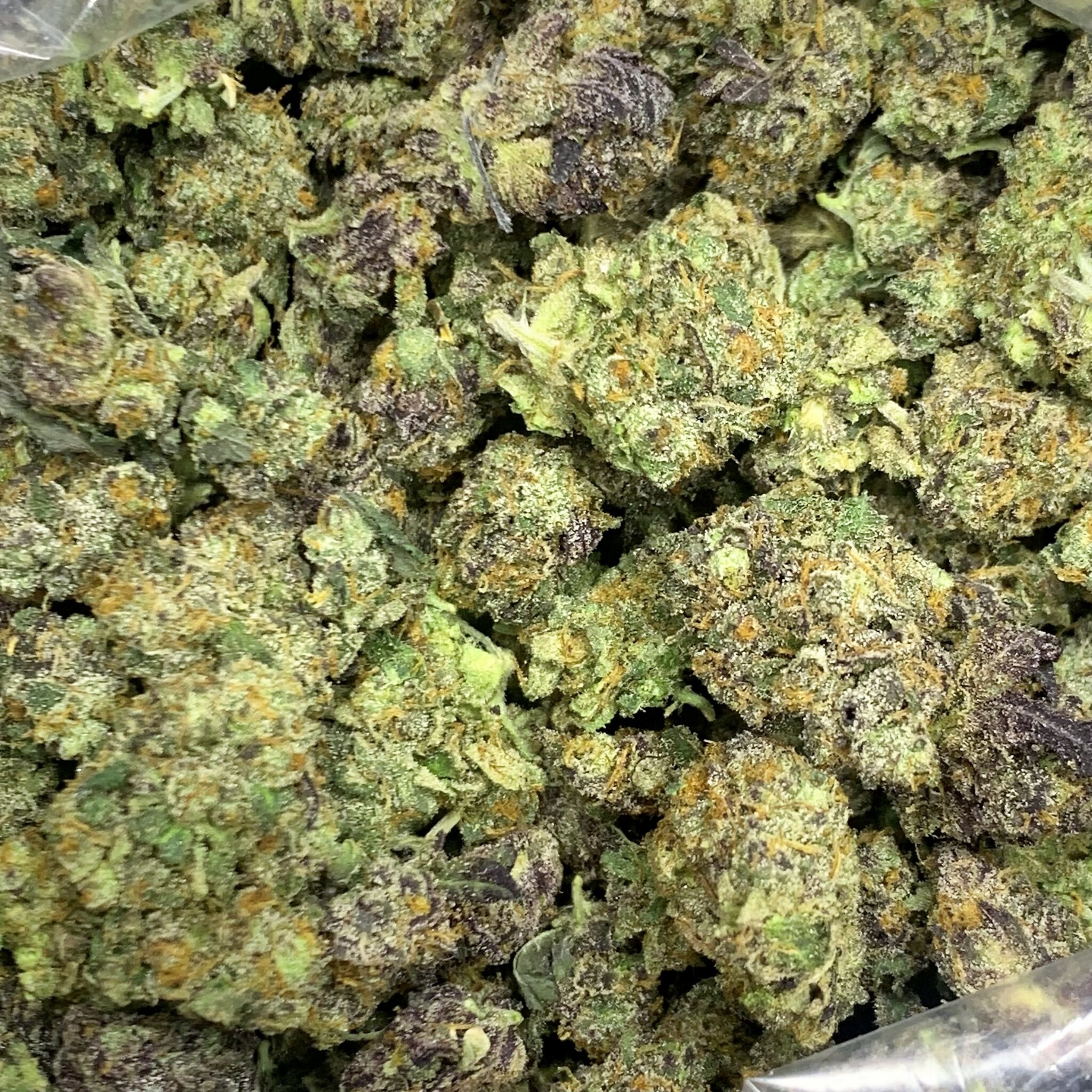 Hybrid – Exclusive Dank Collective